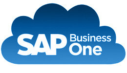 SAP Business One Cloud: optimice los procesos y obtenga información de ...